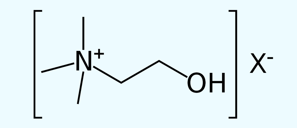 Choline: A Guide on What to Know – NF Sports